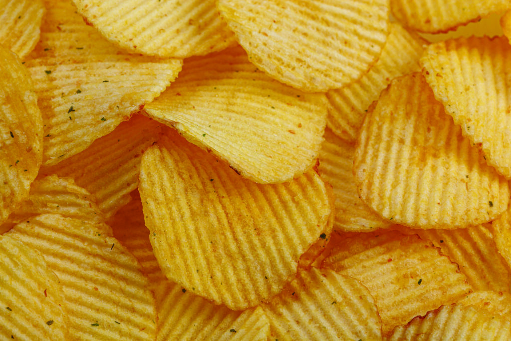 Drives Potato Chip Processing Case Study - Diamond Drives by Timken