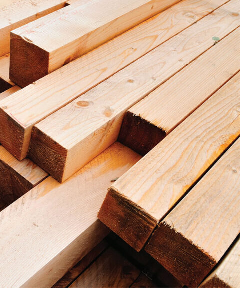 Diamond Board Sander Case Study - Diamond Drives by Timken