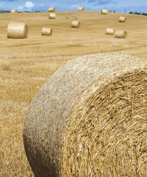 Diamond Round Baler Case Study - Diamond Drives by Timken